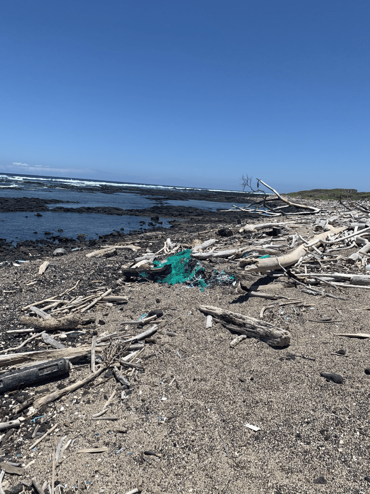 Kamilo Beach — “Plastic Beach” – Living Hilo Style