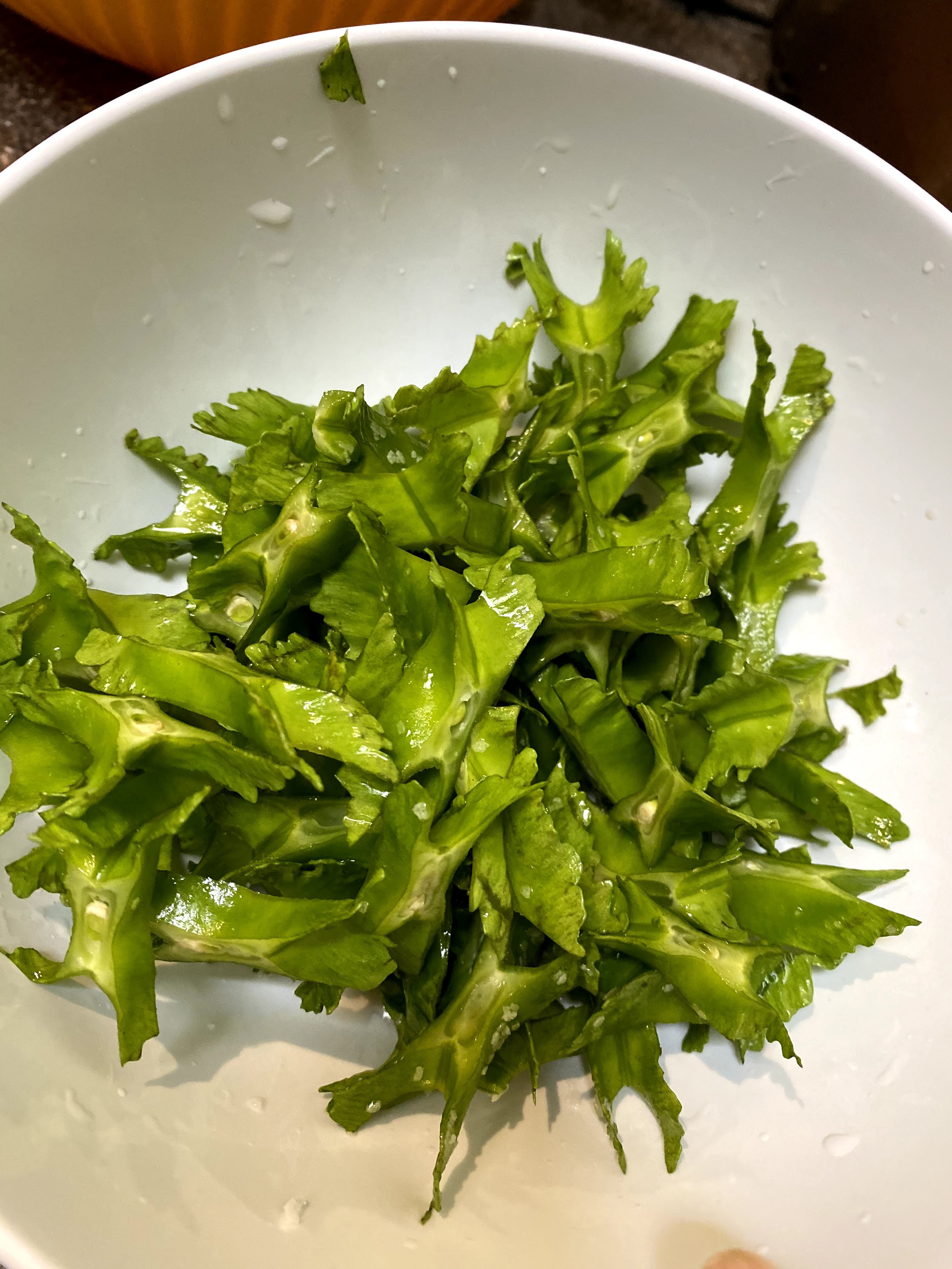 Garden to Table: Pickled Wing Beans – Living Hilo Style