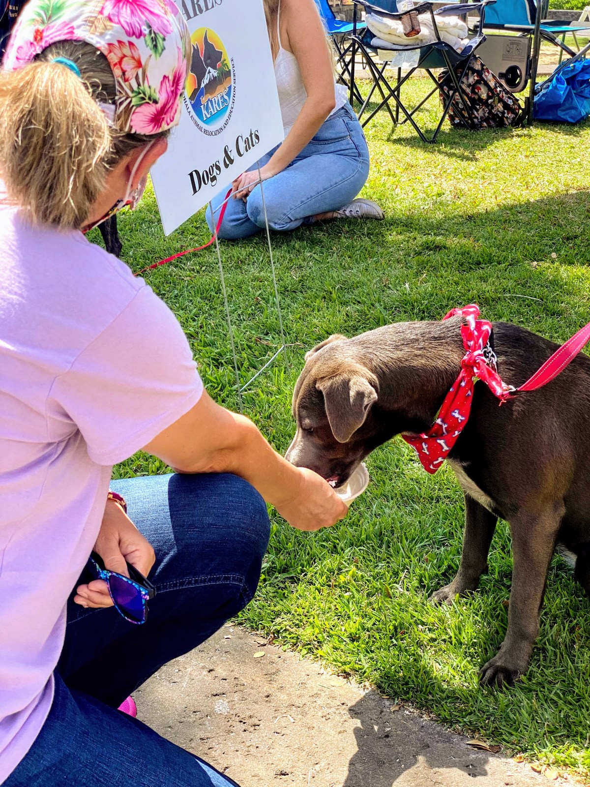 Happy Tails Pet Adoption Fair & Marketplace Returns to Gecko Girlz ...
